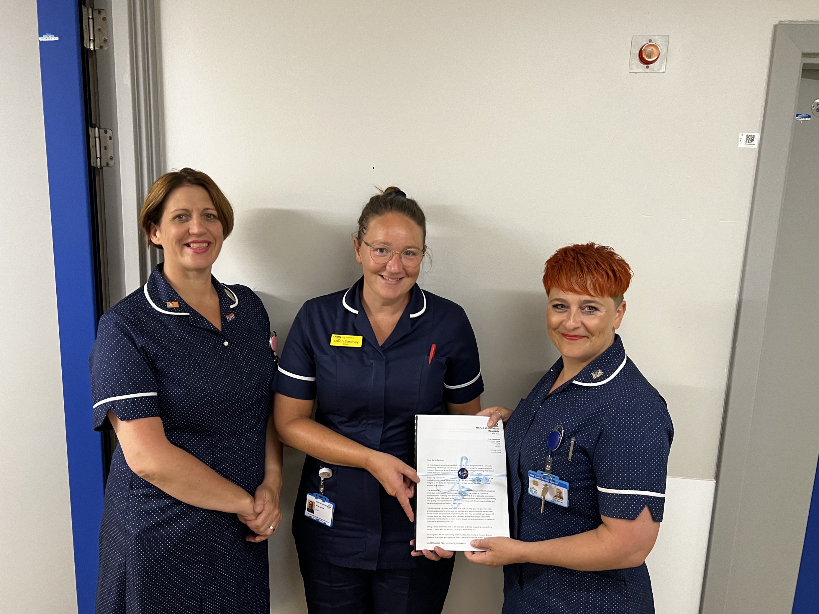 Ward Leaders Guidebook | Fab NHS Stuff